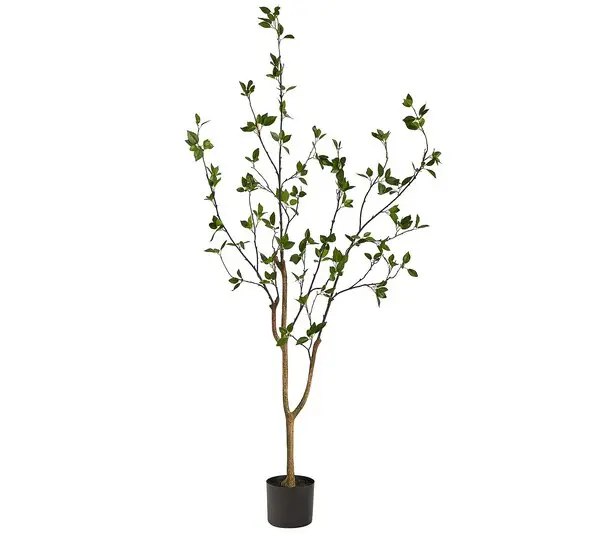 NEARLY NATURAL 5' Minimalist Citrus Artificial Ee