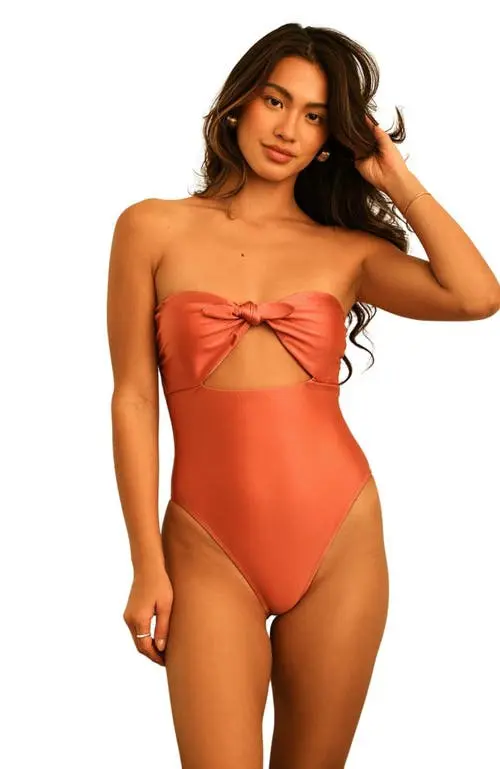 DIPPIN DAISY'S Devon One Piece - Dusty Rose