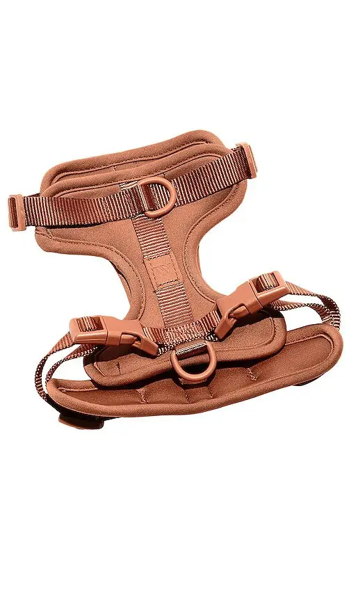 WILD ONE Harness In Brown