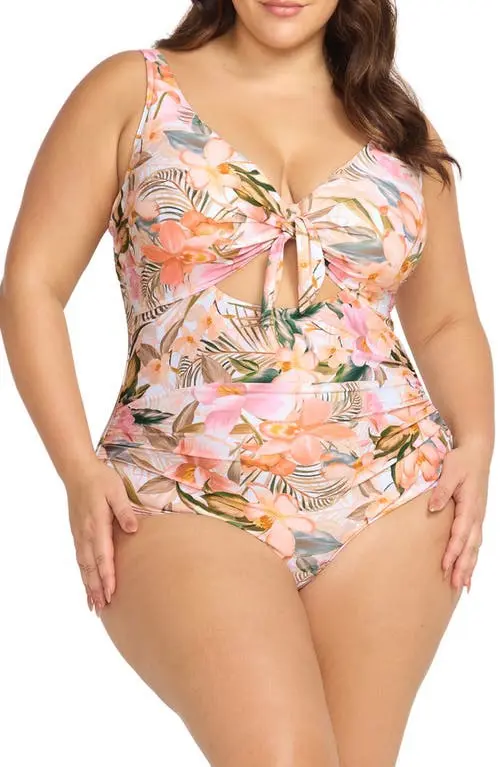 ARTESANDS Titania Cezanne D- & Dd-cup One-piece Swimsuit