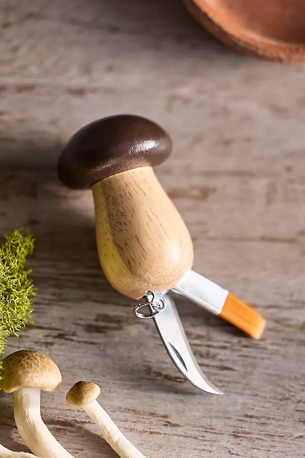 TERRAIN Mushroom Hunter Keycha Tool