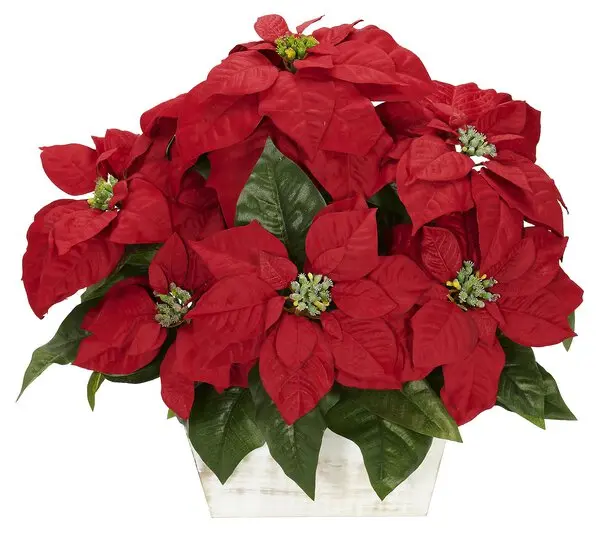 NEARLY NATURAL Artificial Poinsettia Arrangemen T