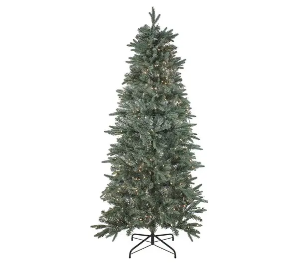 NORTHLIGHT Washington Frasier Fir Tree 9' C Lear Lights