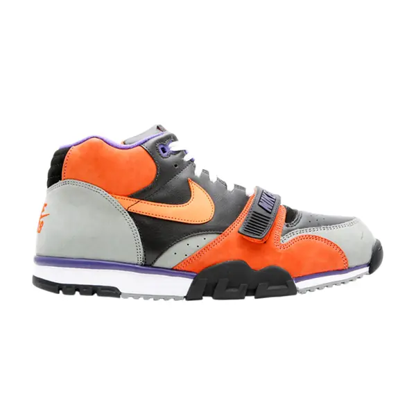 Nike Trainer 1 Sb Sneakers