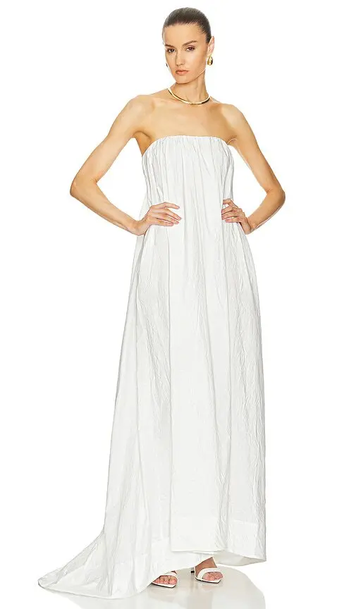 HELSA Crinkle Pleated Gown