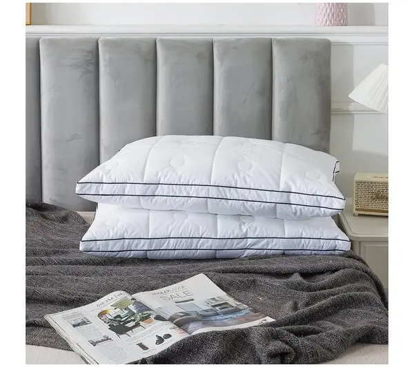 ROYAL VELVET Set Of 2 Quilted Surround Pillows King