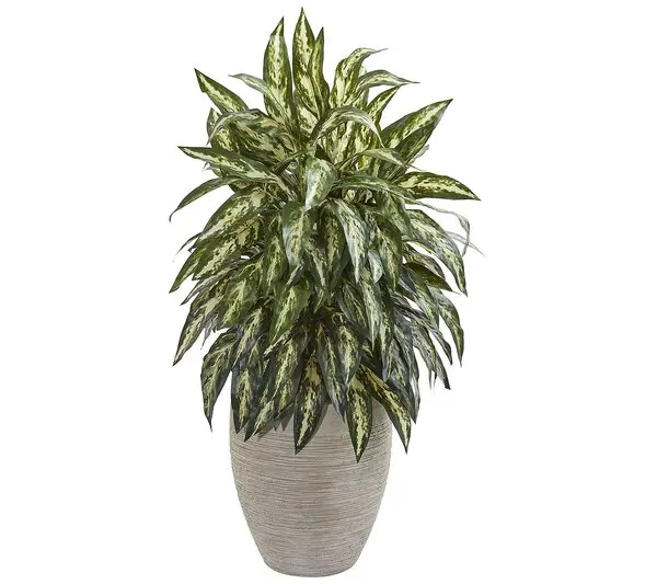 NEARLY NATURAL Aglonema Artificial Plant In Pla Nter