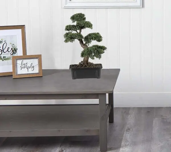 NEARLY NATURAL 2' Cedar Bonsai Tree