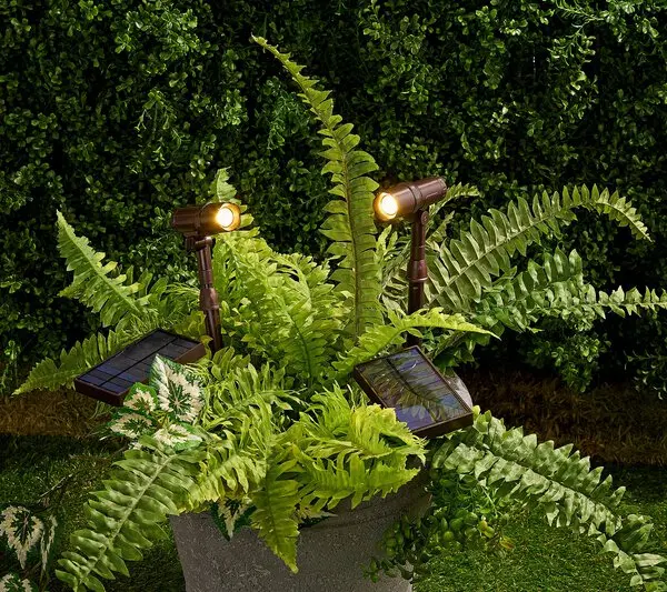 ENERGIZER Set Of 2 65-lumen Solar Spotlights W/ Remote Panel