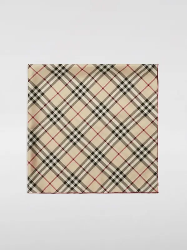 Burberry Neck Scarf