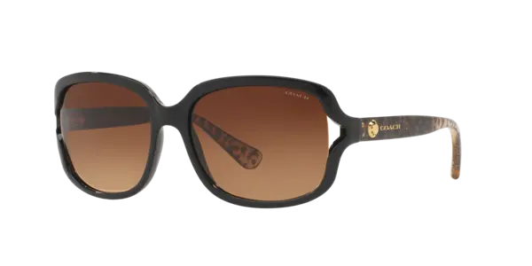 Coach Sunglasses - Brown Gradient