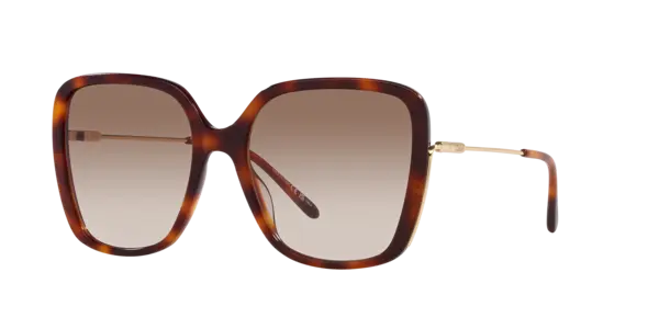 Chloé Ch0173s Sunglasses - Brown