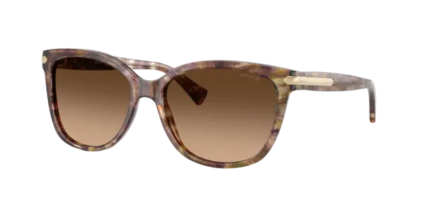 Coach Hc8132 L109 Sunglasses - Brown Gradient