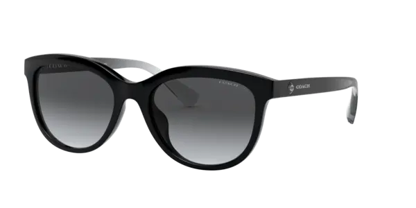 Coach Sunglasses