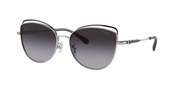 Coach Sunglasses - Grey Gradient