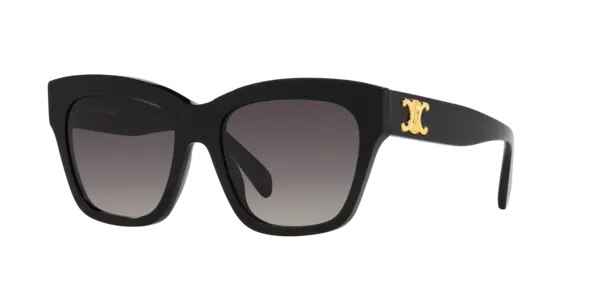 Celine Triomphe Sunglasses - Brown
