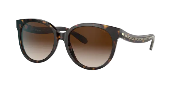 Coach Hc8321 Sunglasses - Brown Gradient