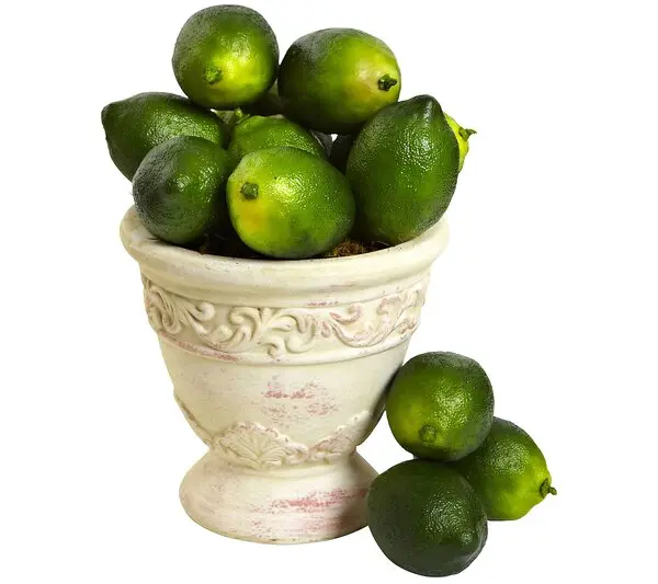 NEARLY NATURAL Faux Limes
