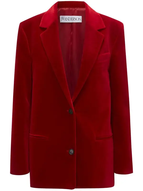 JW Anderson Floral-appliqué Velour Blazer