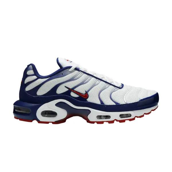 Nike Air Max Plus Sneakers - Blue