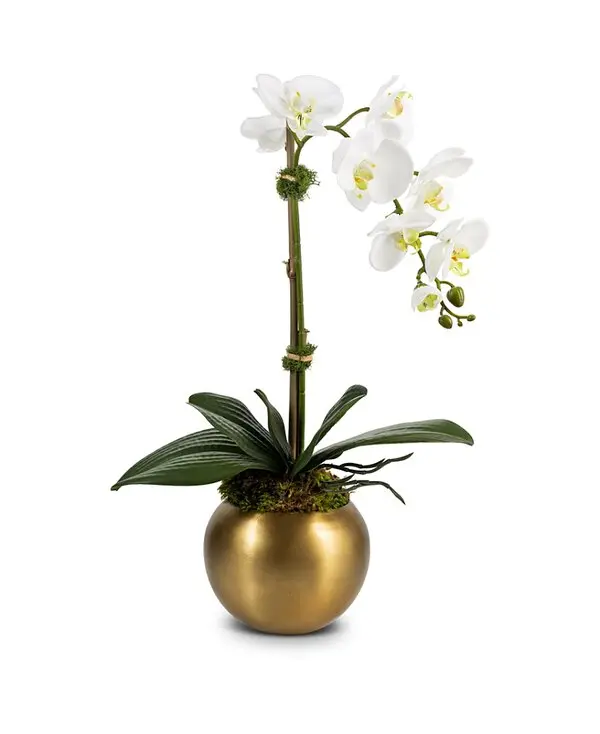 COCOBELLA Adeline Gold-tone Real Touch Orchid Botanical