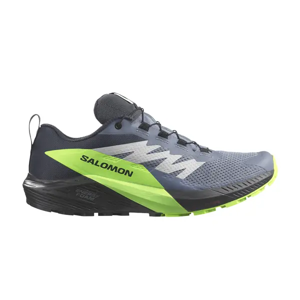 SALOMON Sense Ride 5 Gore-tex - Grey