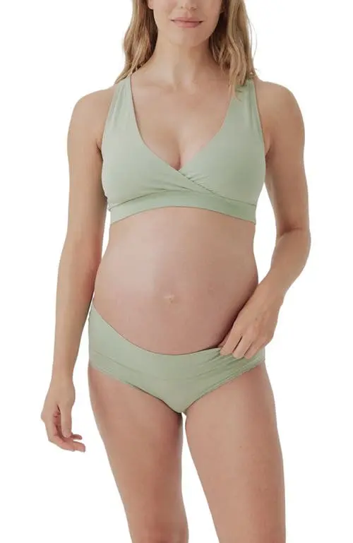 PACT Organic Cotton Maternity Foldover Hipster 4-pack - Spring Brights