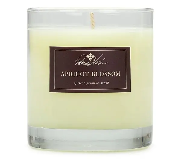 PATRICIA NASH Single Wick Fragranced 8oz Candle