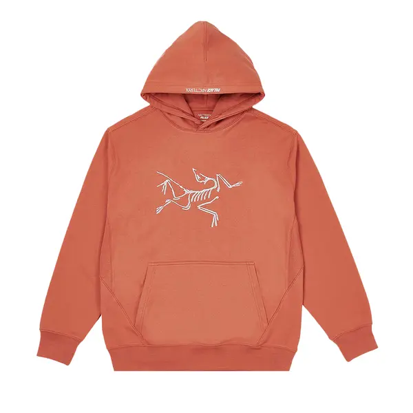 PALACE X Arc'teryx Hood - Orange