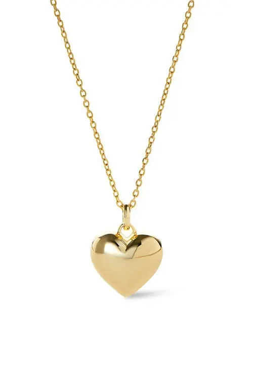 ANA LUISA Lev Small Heart Necklace