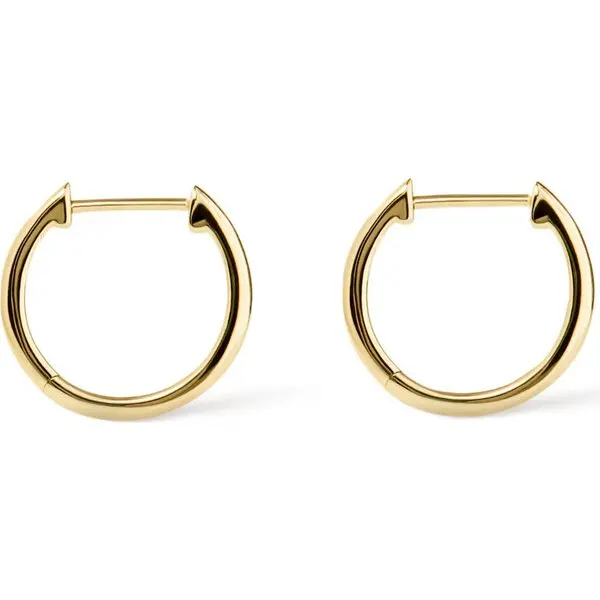 ANA LUISA Endless Hoop Earrings - Gold