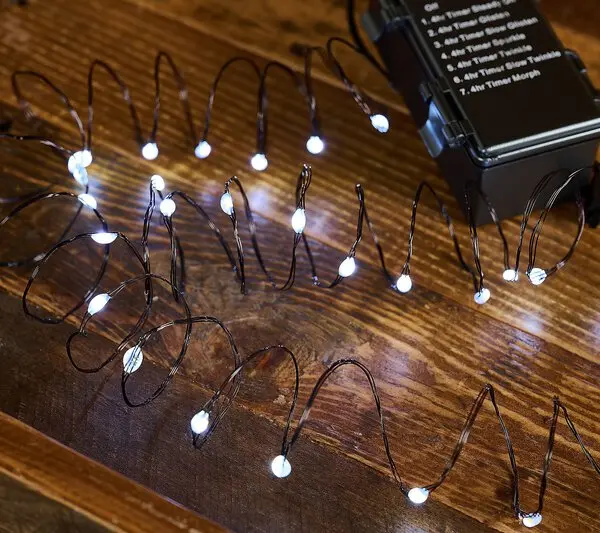 BETHLEHEM LIGHTS S/3 Color Flip Fairy Lights-black