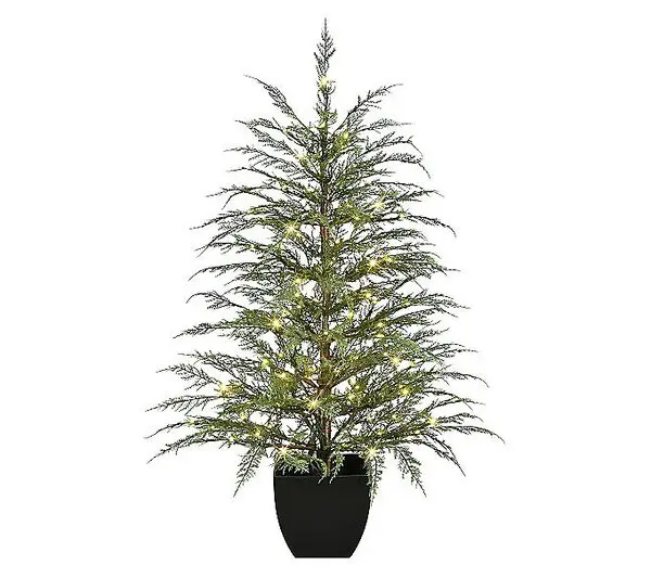 PULEO INTERNATIONAL Puleo 4ft Pre-lit Potted Mountain Cedar Faux Ch Ristmas Tree