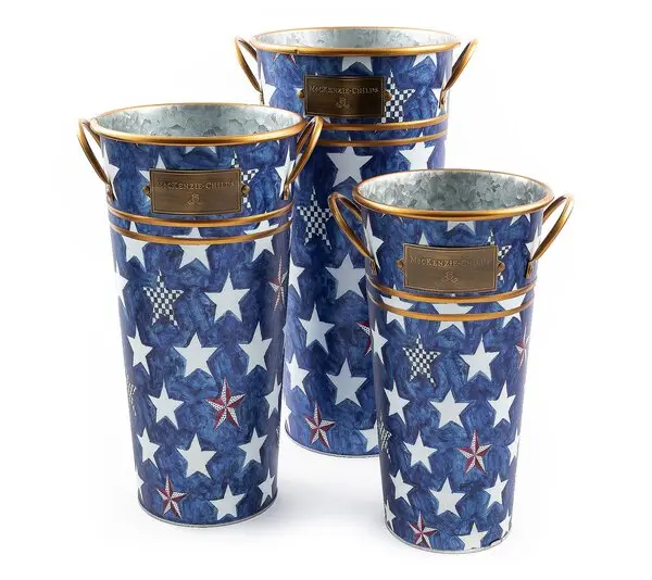 MACKENZIE-CHILDS As Is Royal Star S/3 Flower Buckets