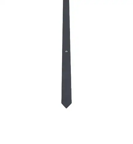 Dior Kaws Beeネクタイ ネイビー Kaws X Dior Bee Silk Tie - Grey | Editorialist
