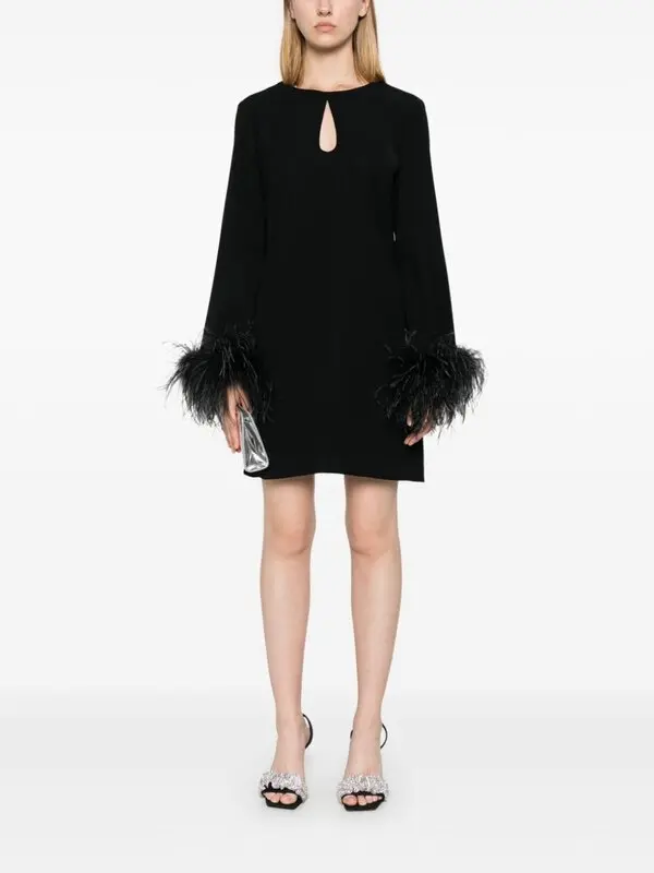 P.a.r.o.s.h Feather-trim Mini Dress