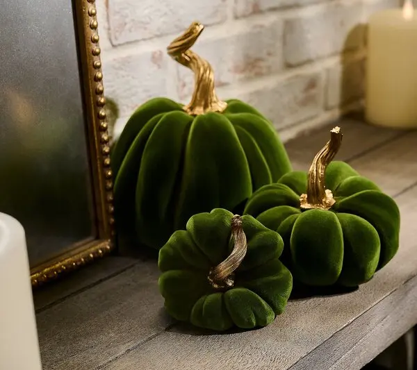 VALERIE PARR HILL Set Of 3 Flocked Pumpkins With Gold Stems Valerie