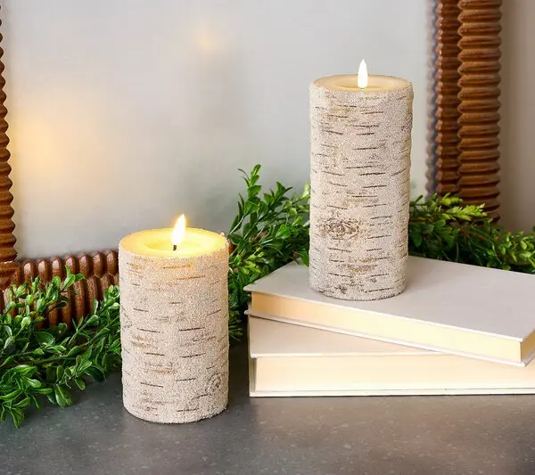 LIGHTSCAPES As Is Set 2 Icy Birch Flameless Candles