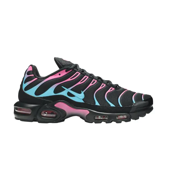 Nike Air Max Plus Sneakers - Black