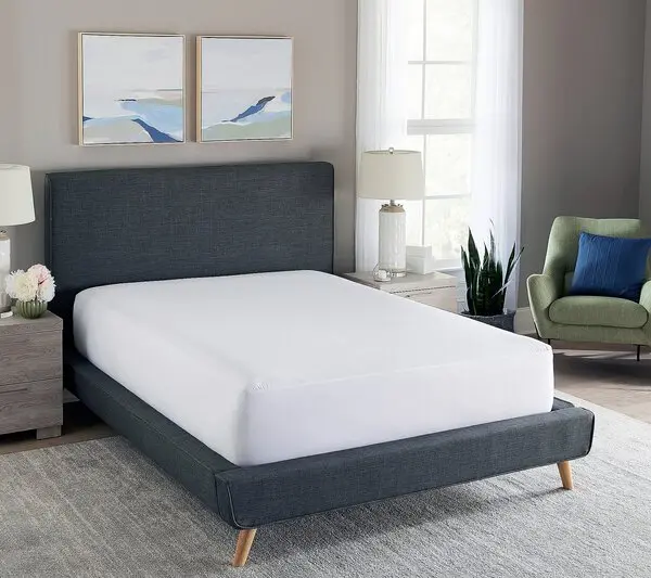 BODIPEDIC Essentials Waterproof Mattress Protec Tor, Twin