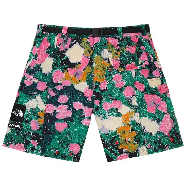 Supreme X The North Face Trekking Packable Belted Short - Multicolor
