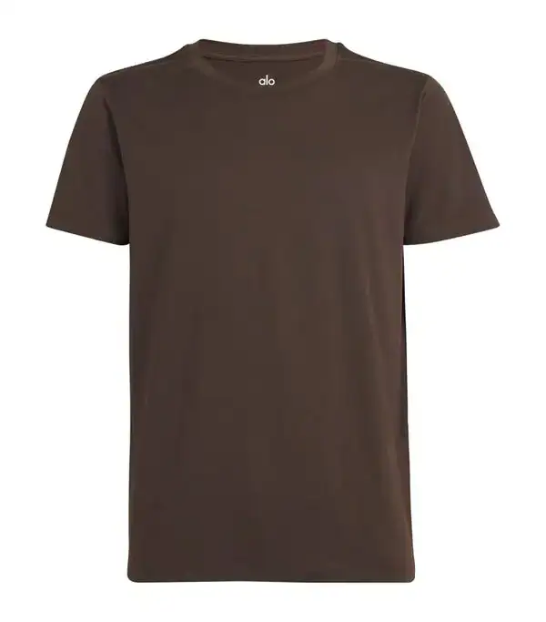 Alo Yoga Conquer Reform T-Shirt - Brown | Editorialist