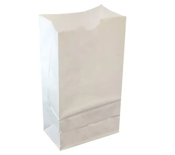 LUMABASE Flame Resistant Luminaria Bags- White, 50ct - One-color
