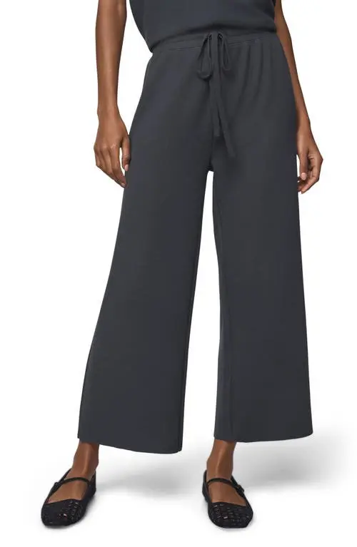 Splendid Winslow Crop Wide Leg Sweatpants - Lead