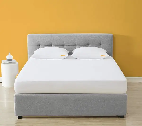 SIMMONS Moisture Wicking Full Mattress Pillow P Rotector Set