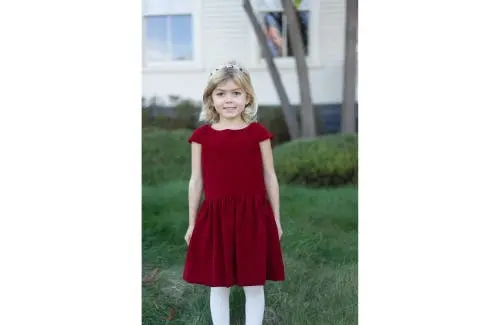 Busy Bees Alexa Dropwaist Party Dress