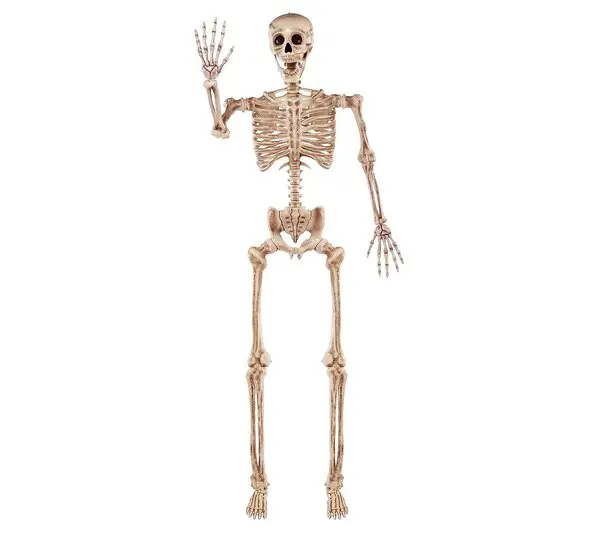 SYNCFUN 5.6 Ft Halloween Posable Body Skeleton