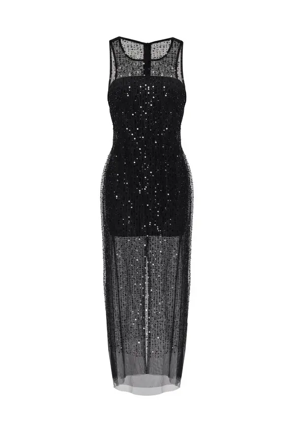 MILLA Sensational Sheer Lace Maxi Dress