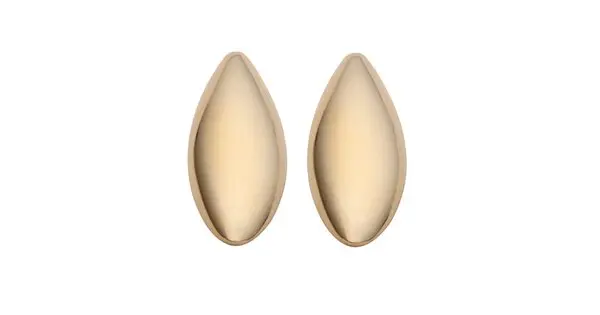 Jennifer Zeuner Jewelry Dax Earrings - One-color