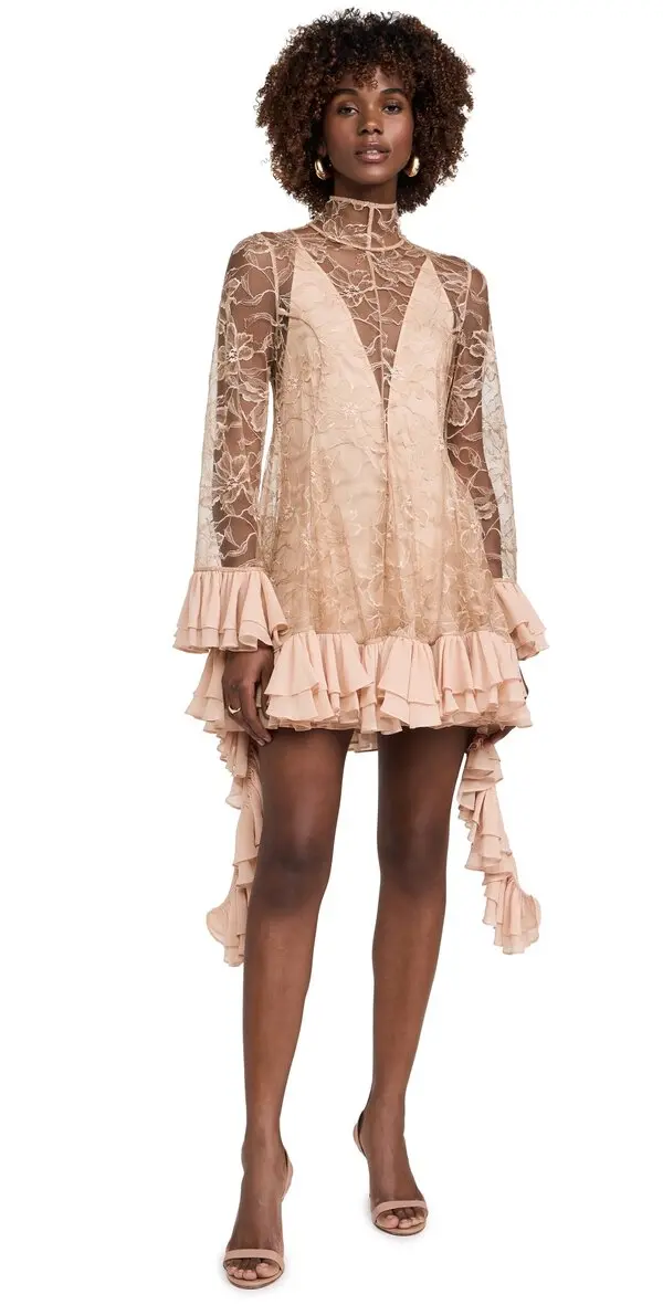alexis lace mini dress Lace Pattern Mini Dress